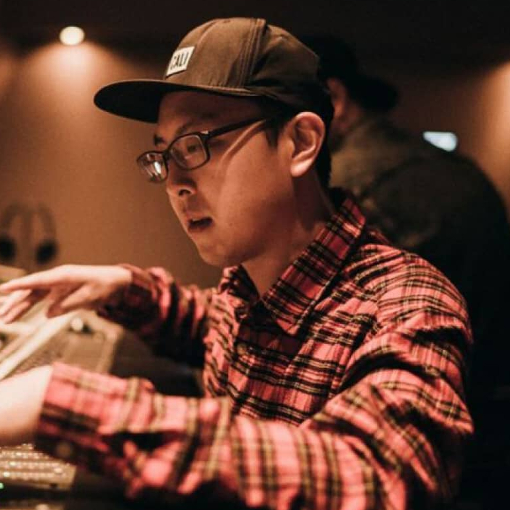 IPA 25 - Multi-VCA Dynamics Processor